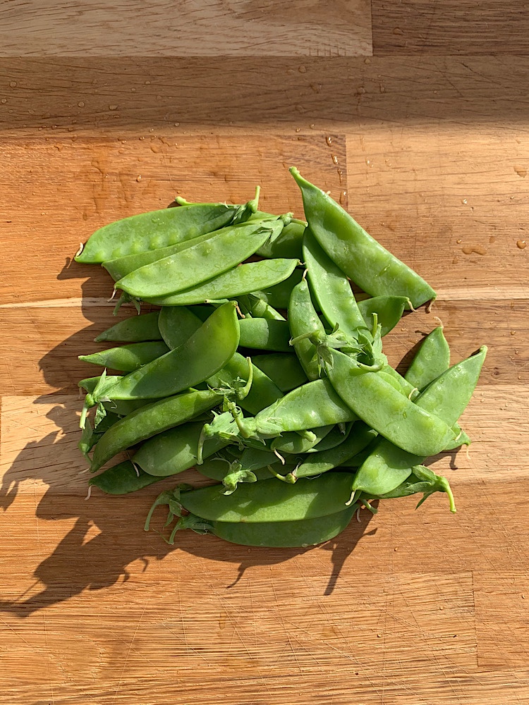 Snow Peas - Little BearFox Farm